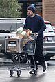 Sebastian Stan & Annabelle Wallis Spotted Shopping for Groceries on ...