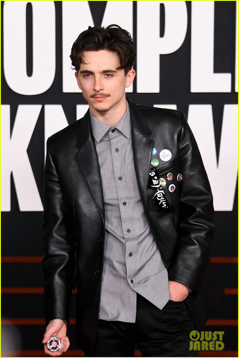 Photo: timothee chalamet channels his rock star style at a complete ...