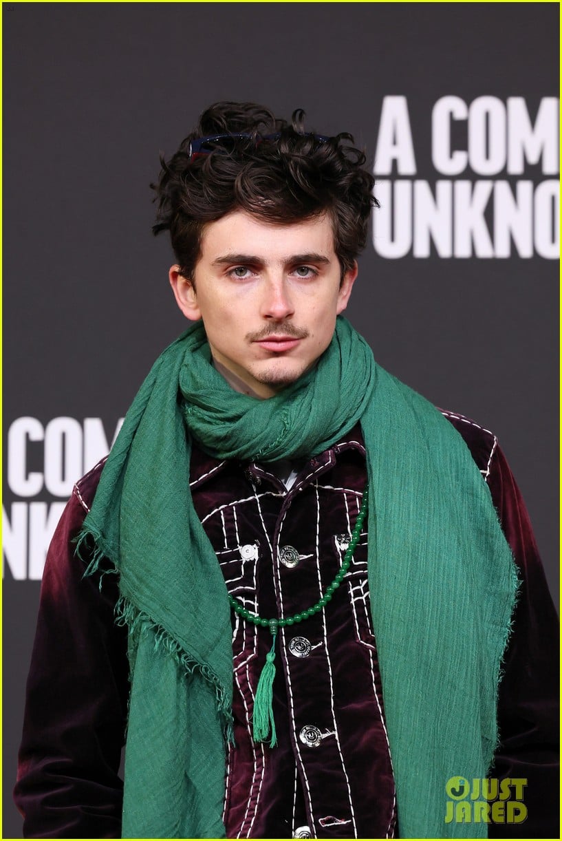 Timothee Chalamet Joins Edward Norton, Monica Barbaro, & Director James ...