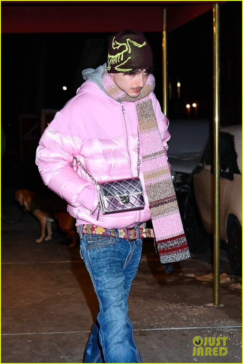 Timothee Chalamet Enlists His Lookalikes For First 'Saturday Night Live ...