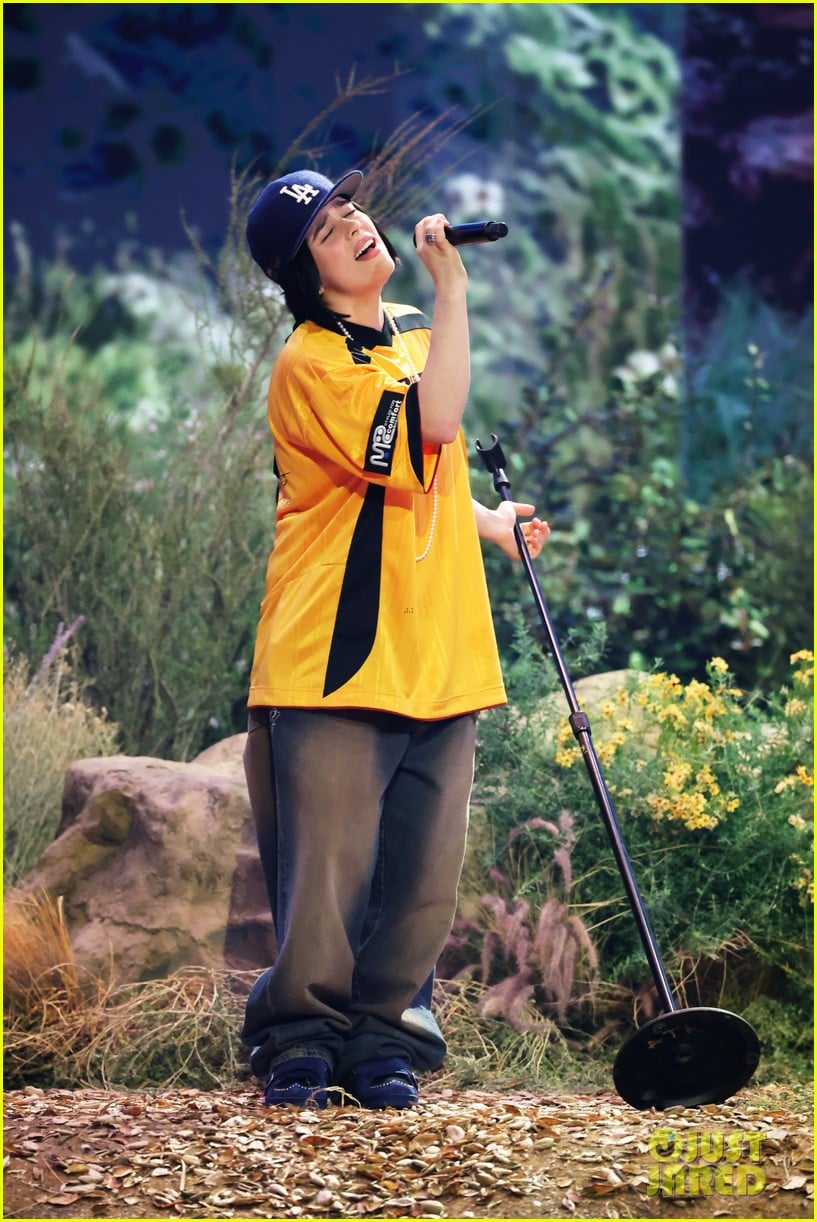 Billie Eilish Performs 'Birds of a Feather' at Grammys 2025, Cameras ...