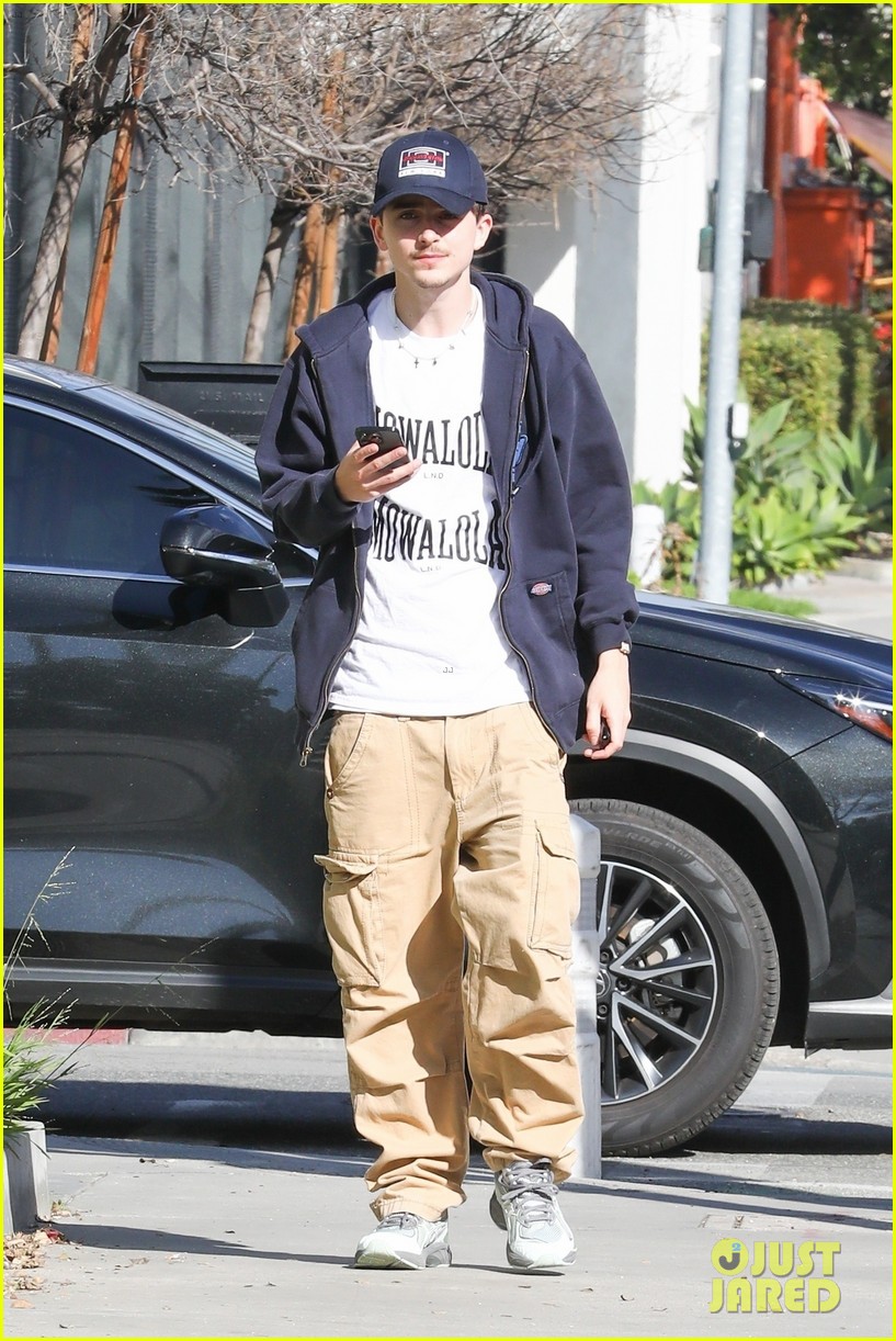 Timothee Chalamet Enjoys Down Time in California Amid Red Carpet ...