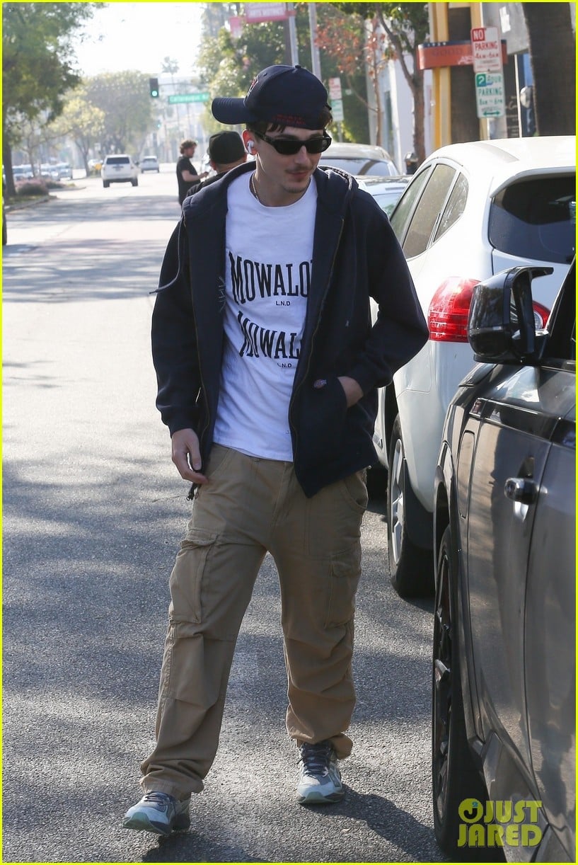 Timothee Chalamet Enjoys Down Time in California Amid Red Carpet ...