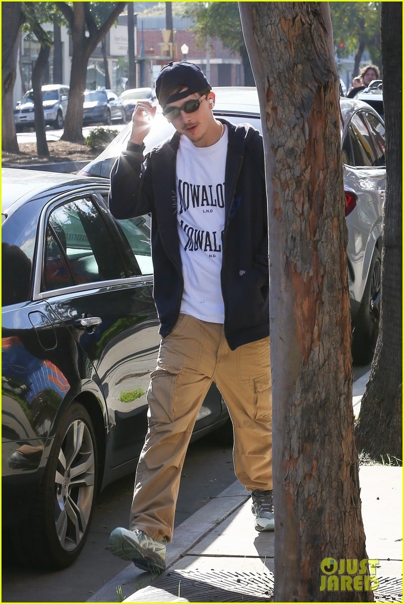 Timothee Chalamet Enjoys Down Time in California Amid Red Carpet ...