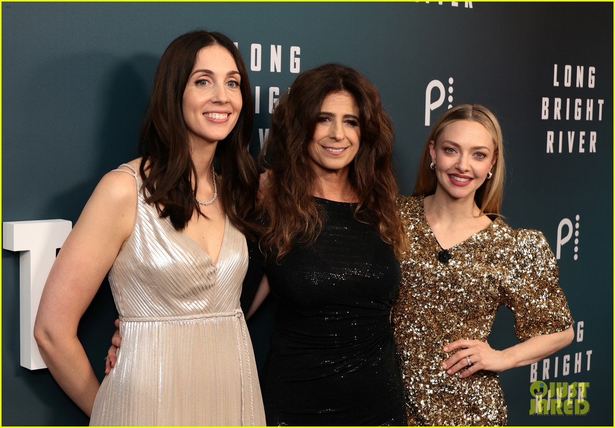 Amanda Seyfried Glitters in Gold at Premiere of Her New Series 'Long ...