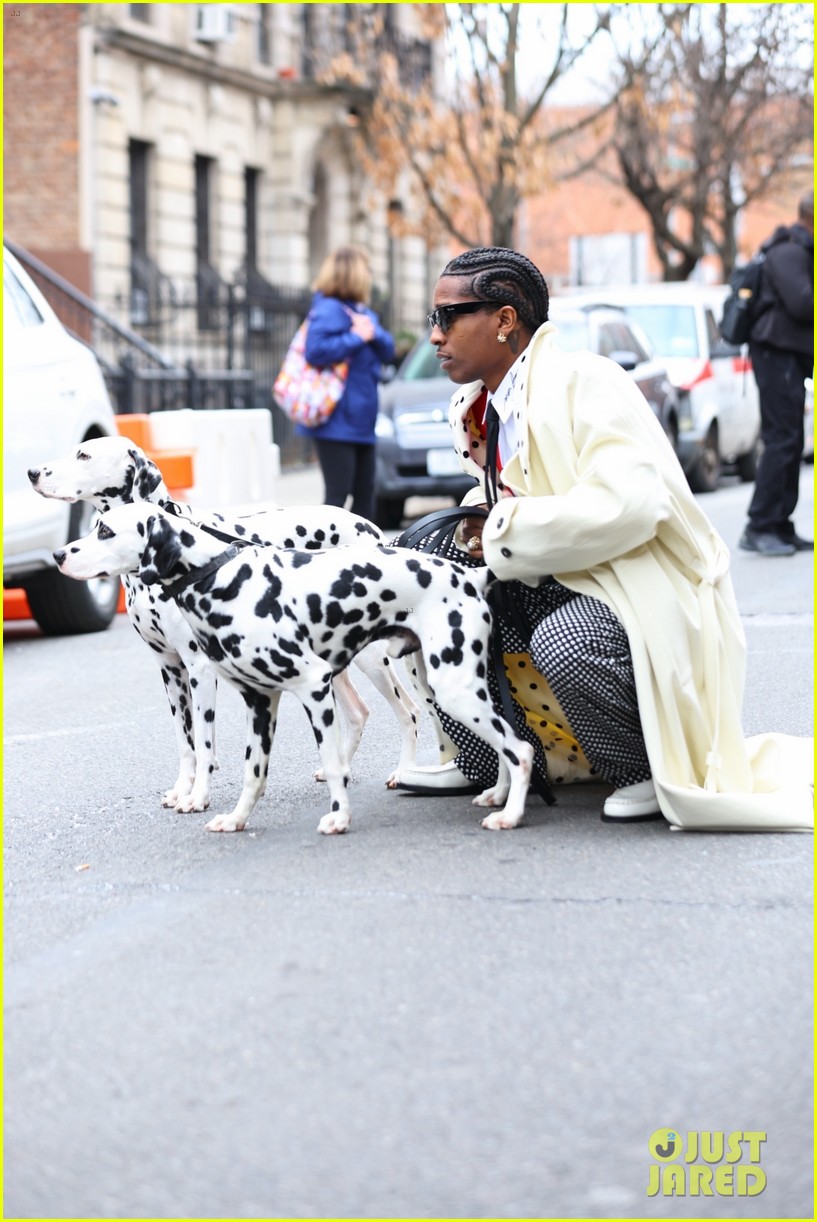 A$AP Rocky Channels Cruella De Vil for New Photo Shoot in Harlem: Photo ...