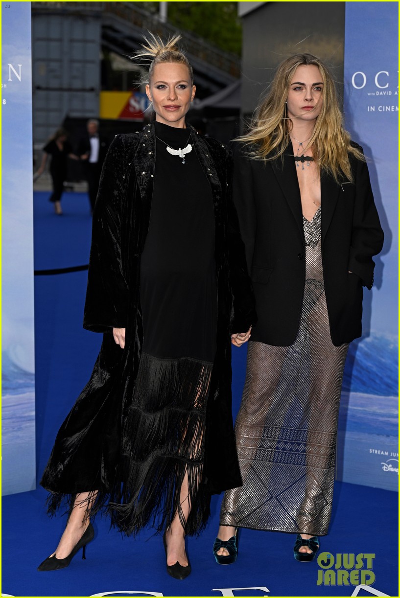 Cara Delevingne & Pregnant Sister Poppy Make Rare Red Carpet Appearance ...