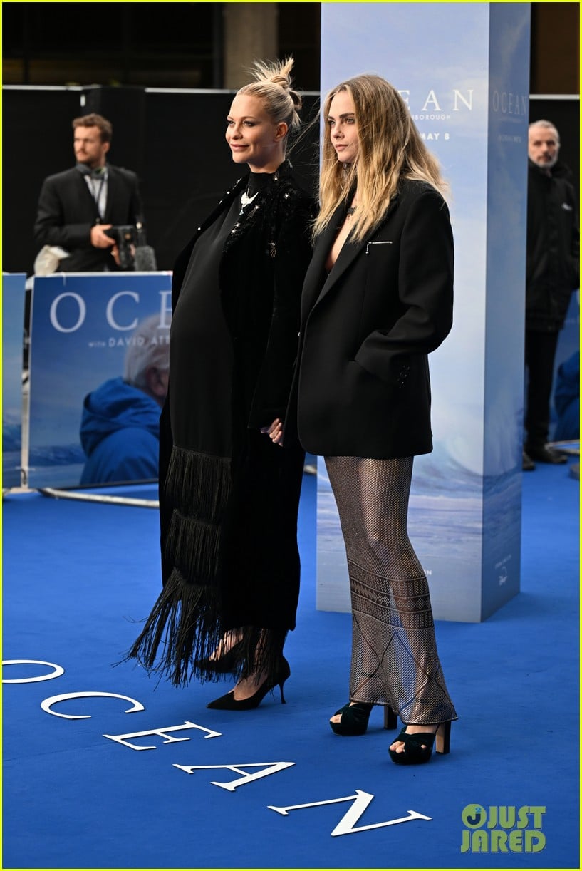 Cara Delevingne & Pregnant Sister Poppy Make Rare Red Carpet Appearance ...