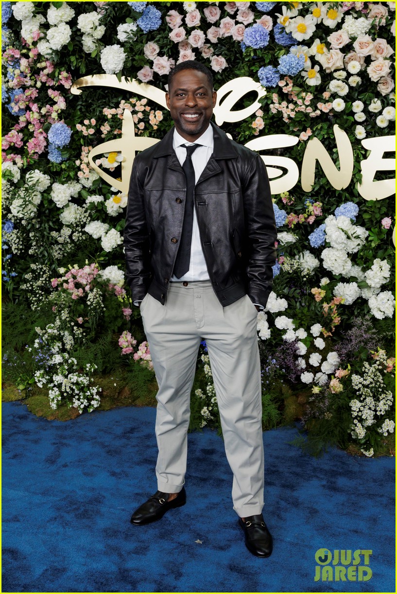 Photo: all the stars at disney upfronts 130 | Photo 5157591 | Just ...