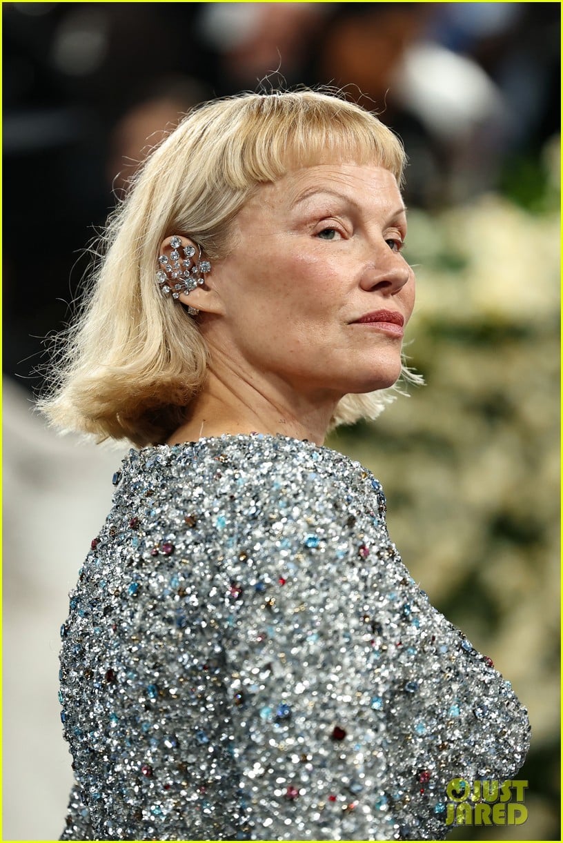 Pamela Anderson Explains New Hairstyle at Met Gala 2025: 'I Wanted ...