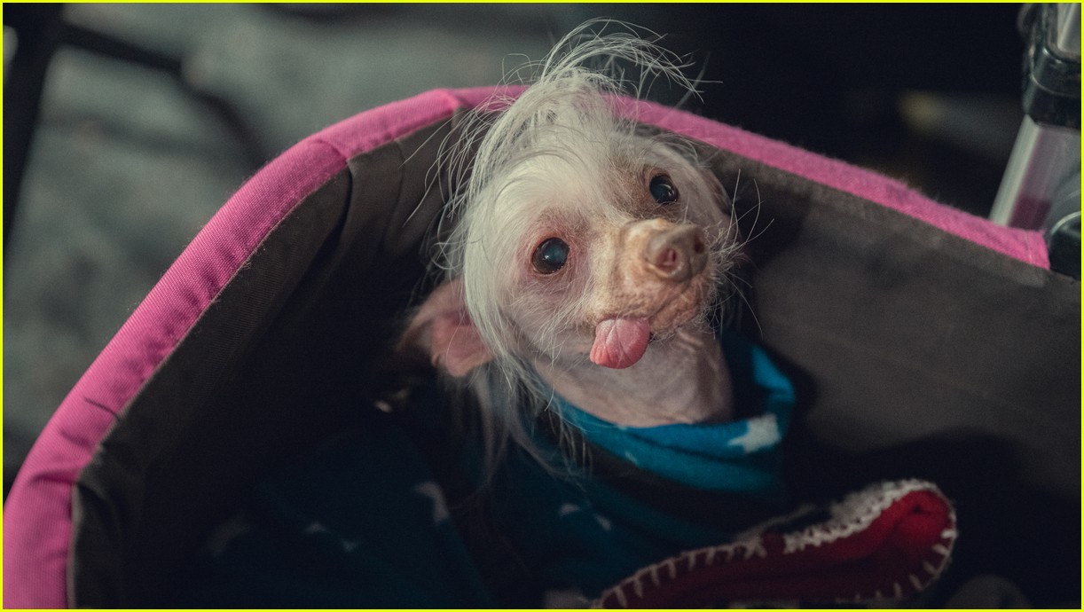 Lena Dunham Netflix Show 'Too Much' First Look & Cast - Meg Stalter ...