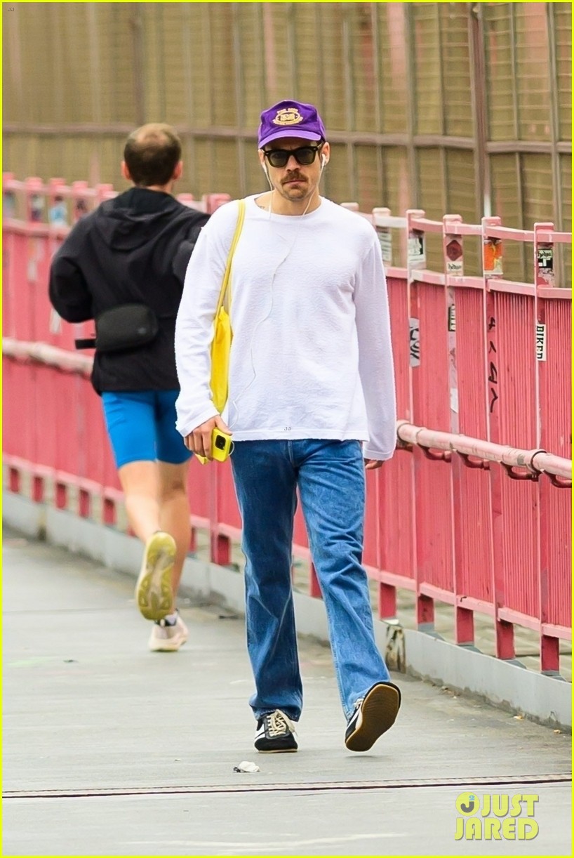 Harry Styles Goes for Solo Walk Across Williamsburg Bridge in New York ...