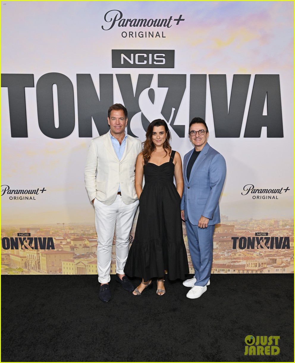 Michael Weatherly & Cote de Pablo Talk 'NCIS: Tony & Ziva' Splitting Up ...