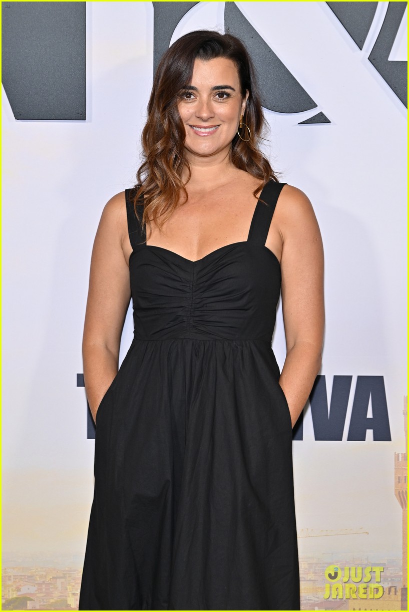 Michael Weatherly & Cote de Pablo Talk 'NCIS: Tony & Ziva' Splitting Up ...