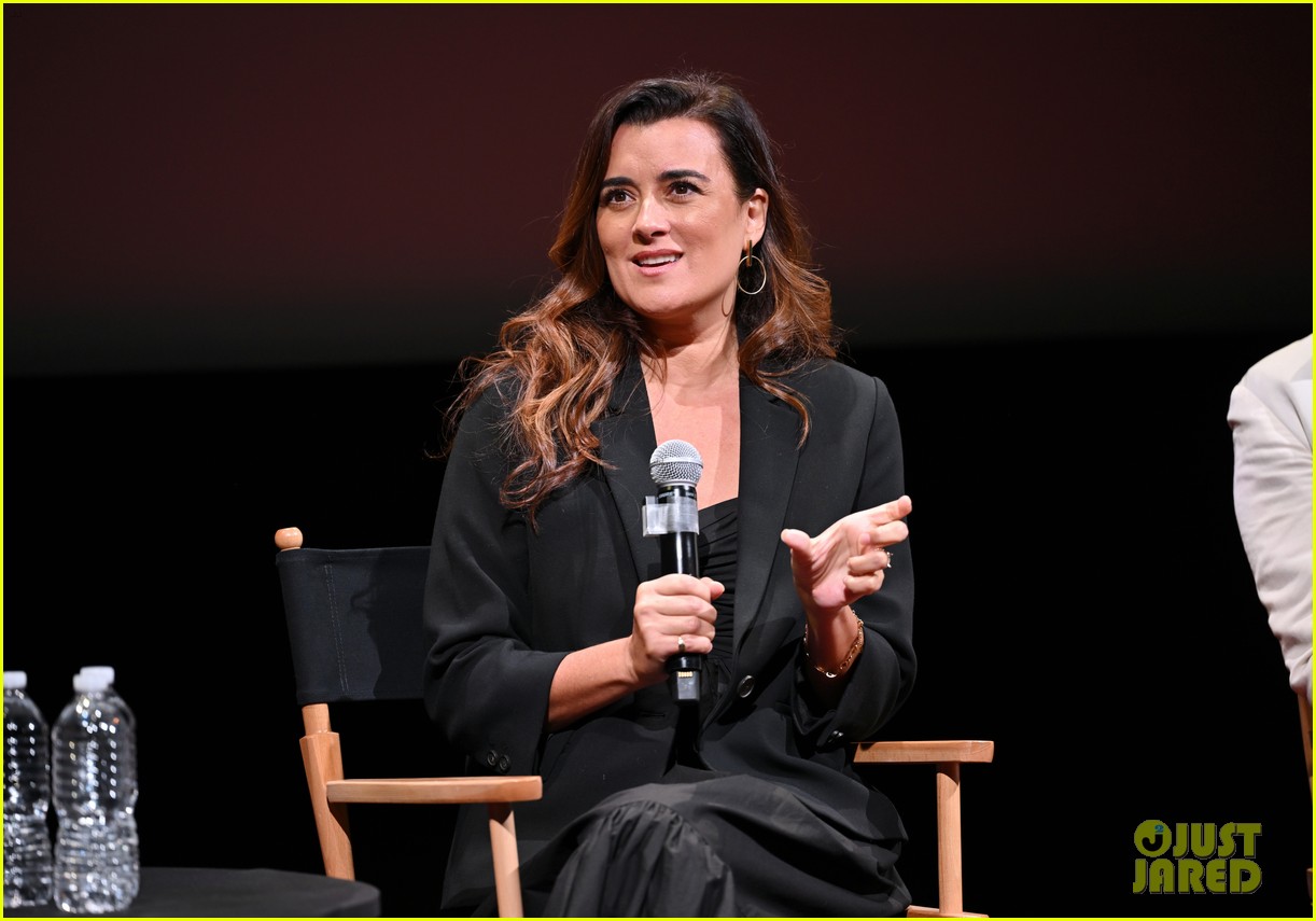 Michael Weatherly & Cote de Pablo Talk 'NCIS: Tony & Ziva' Splitting Up ...