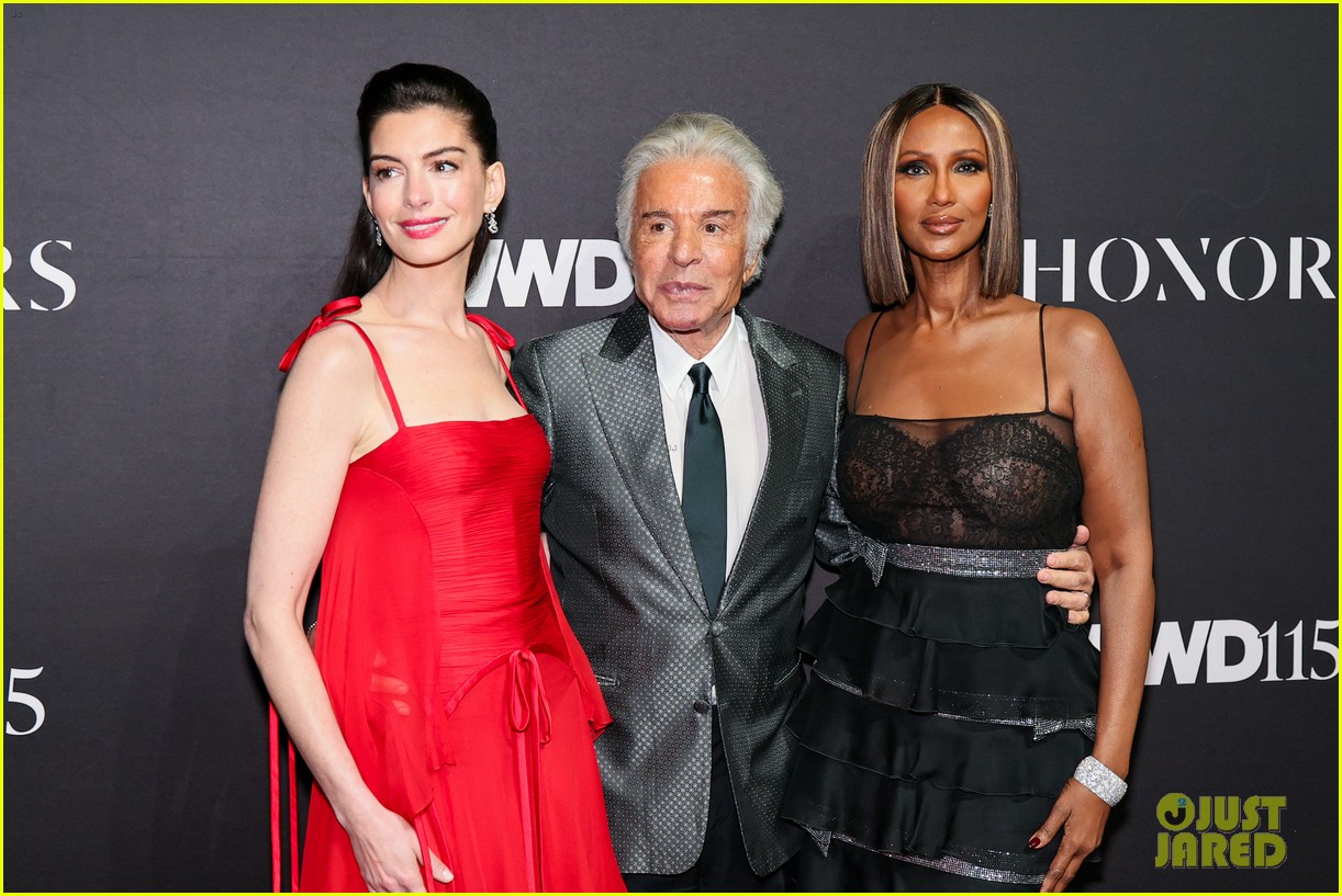 Anne Hathaway & Husband Adam Shulman Make Rare Red Carpet Appearance at ...