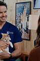 Erin Cahill & Paul Campbell Bonded with 15 Cats In-Between Takes on ...