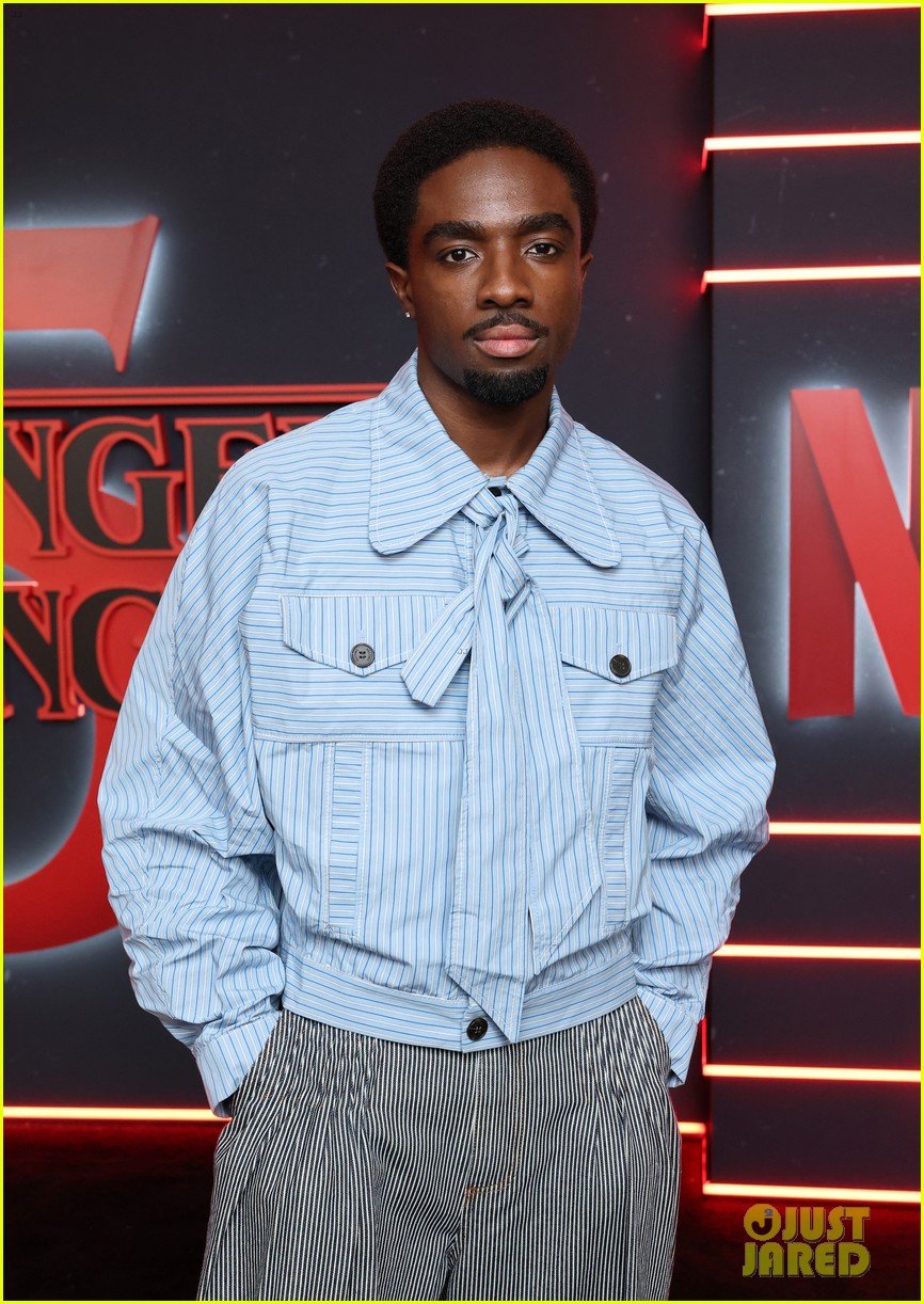 'Stranger Things' Cast Celebrate Final Episodes with Special Screening ...