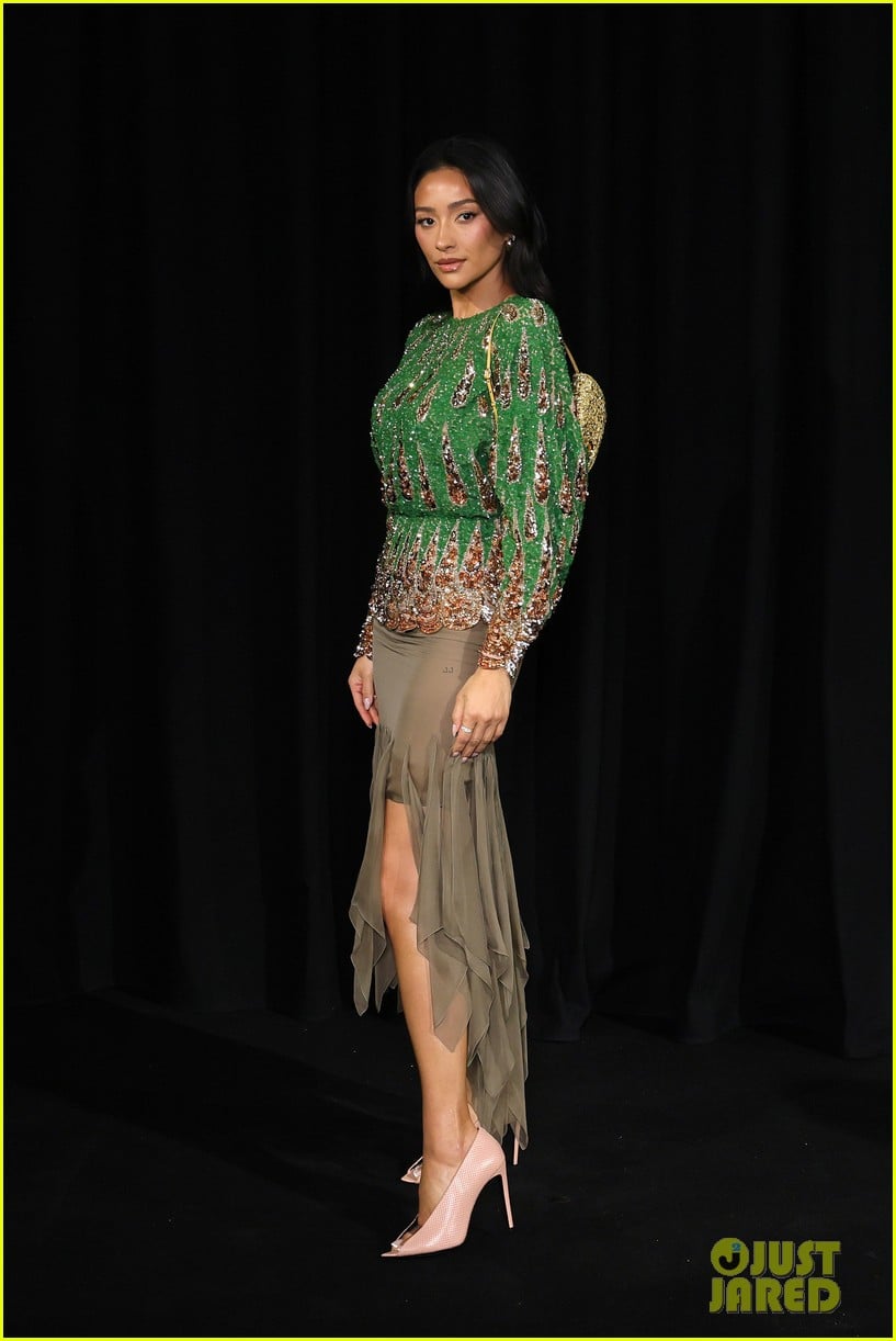 Dakota Johnson Joins Lily Allen, Kirsten Dunst, & More at Valentino ...