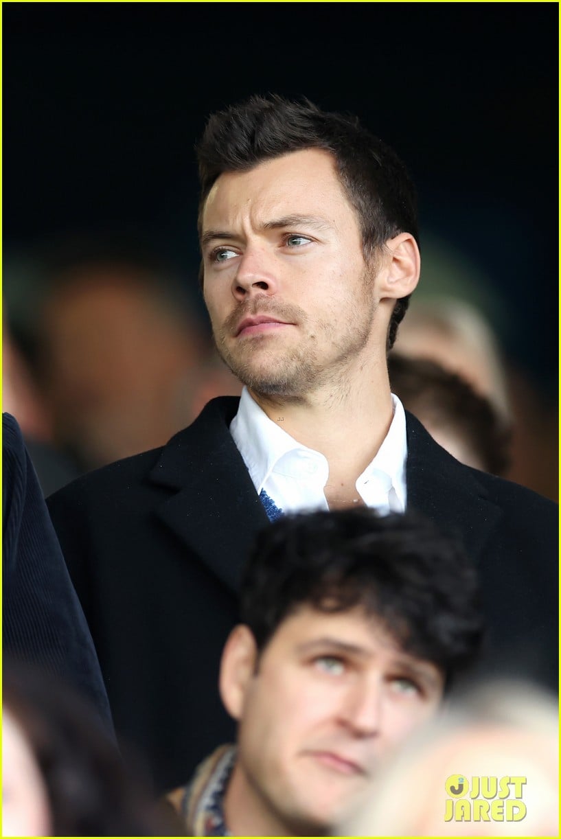 Harry Styles Launches Mysterious Website Amid New Music Rumors: Photo ...