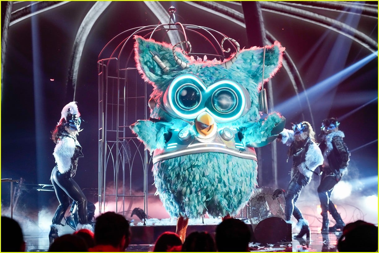 Who Is Owl on 'The Masked Singer' Season 14? Clues, Guesses, & Spoilers ...