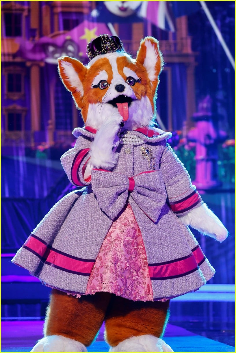 Who Is Queen Corgi on 'The Masked Singer' Season 14? Clues, Guesses ...