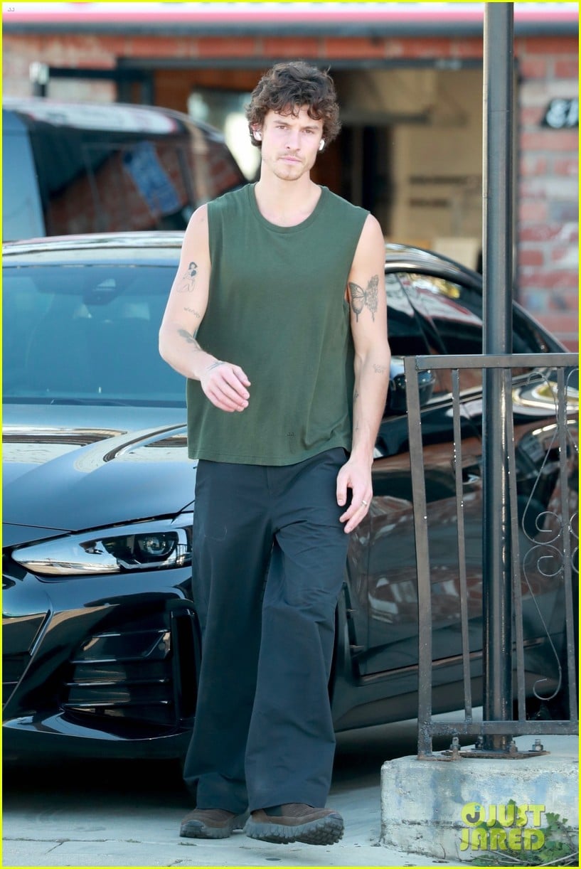 Shawn Mendes Shows Off His Arms During Day Out in L.A.: Photo 5269898 ...