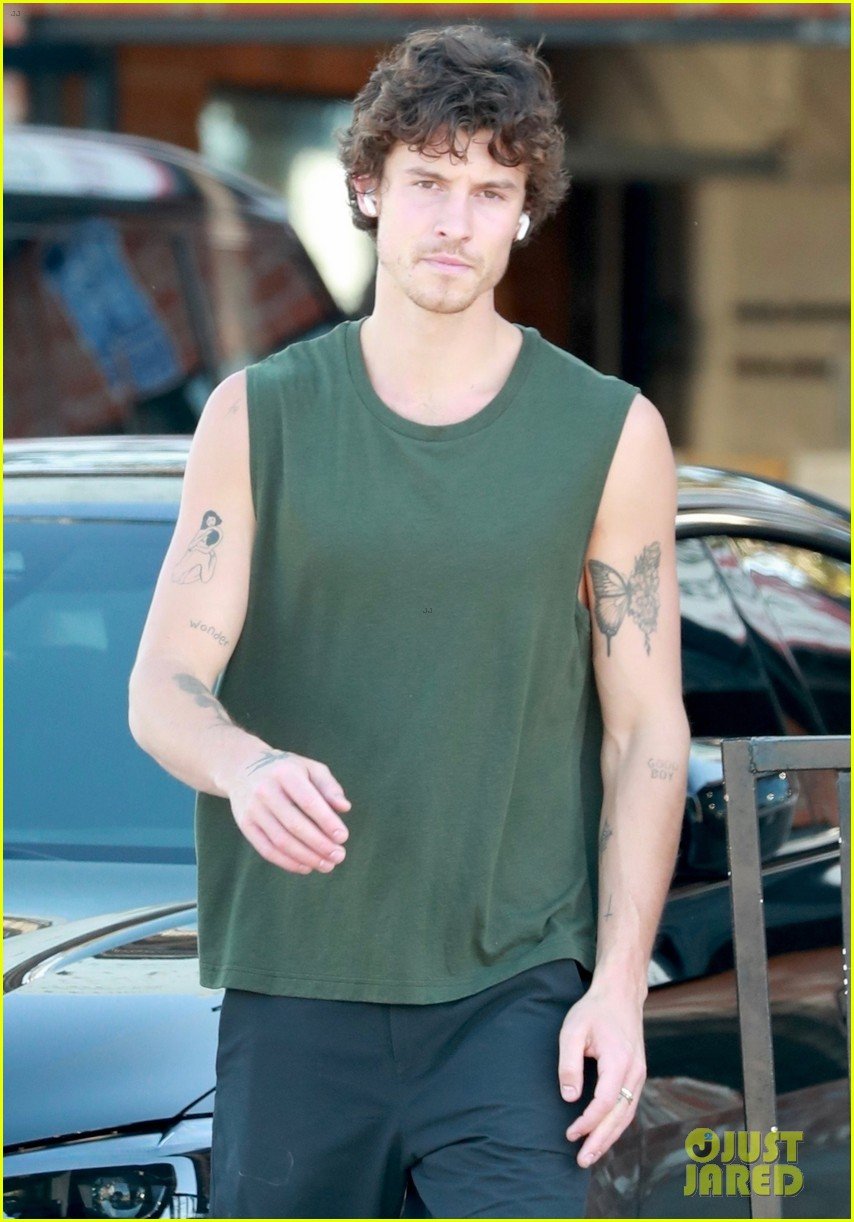 Shawn Mendes Shows Off His Arms During Day Out in L.A.: Photo 5269901 ...