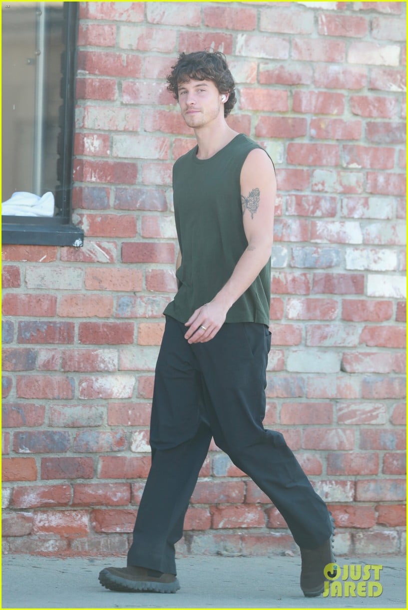 Shawn Mendes Shows Off His Arms During Day Out in L.A.: Photo 5269902 ...