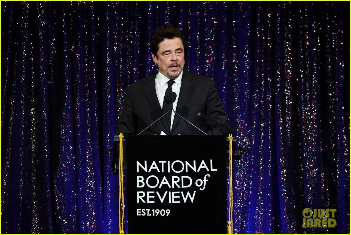 Leonardo DiCaprio Thanks Mom at NBR Gala, Says He's Waited 25 Years for ...