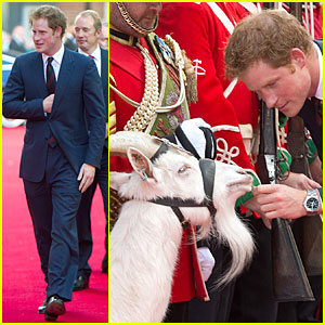 Prince Harry’s Cute Interaction with a Goat Will Melt Your Heart – See ...