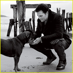 Tom Brady’s Dog Lua Joins Him for Ugg Campaign Video! | Celebrity Pets ...