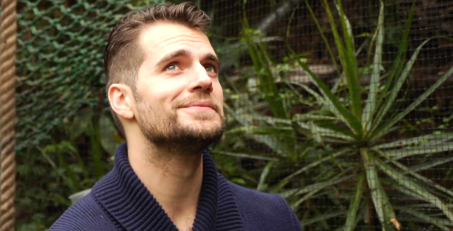 Henry Cavill Goes Batty at Durrell Wildlife Park | Henry Cavill | Just ...