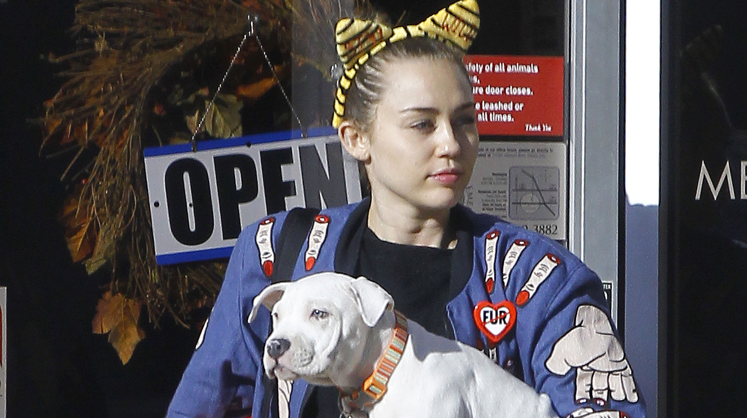 Miley Cyrus Adds Another Pup To Her Animal Fam! | Miley Cyrus ...
