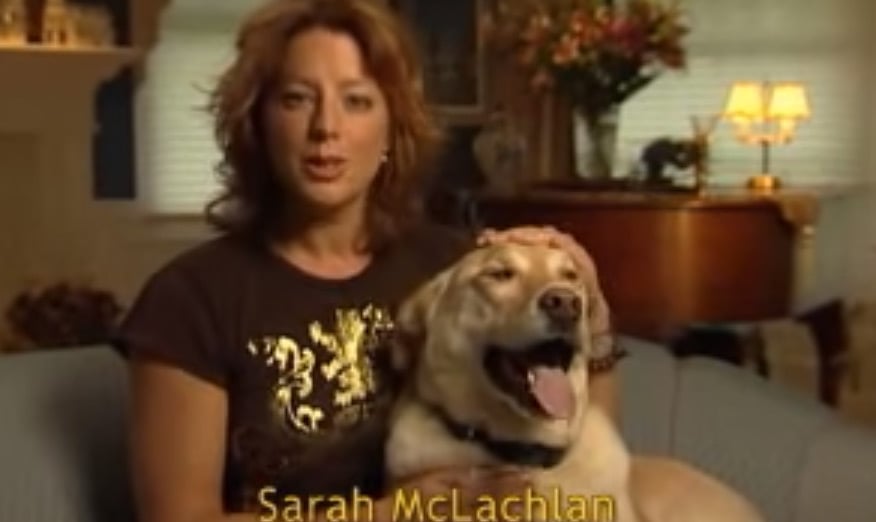 Sarah McLachlan Says She Can’t Watch Her ASPCA Ads Either | Sarah ...
