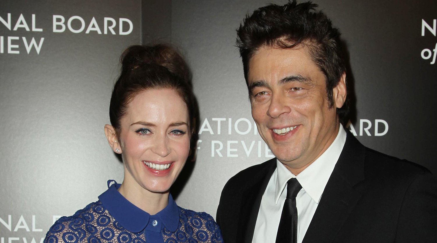 Emily Blunt Puts the Spotlight on ‘Sicario’ at NBR Awards Gala! | 2016 ...