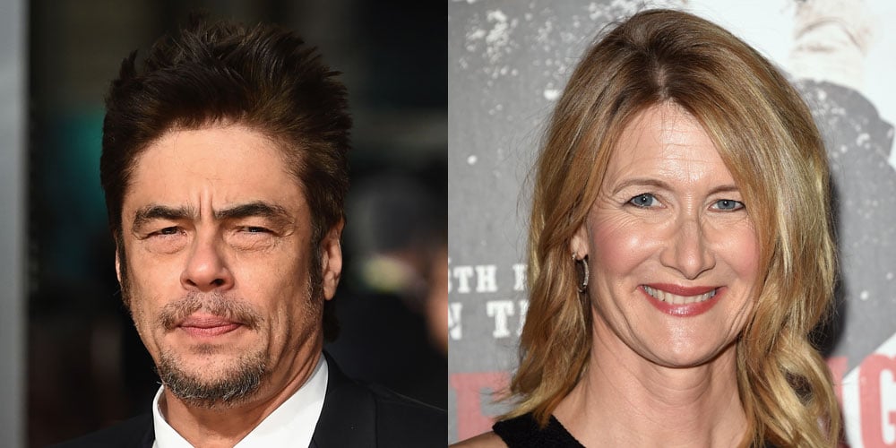 ‘Star Wars: Episode 8′ Cast: Benicio Del Toro, Laura Dern & More Land ...