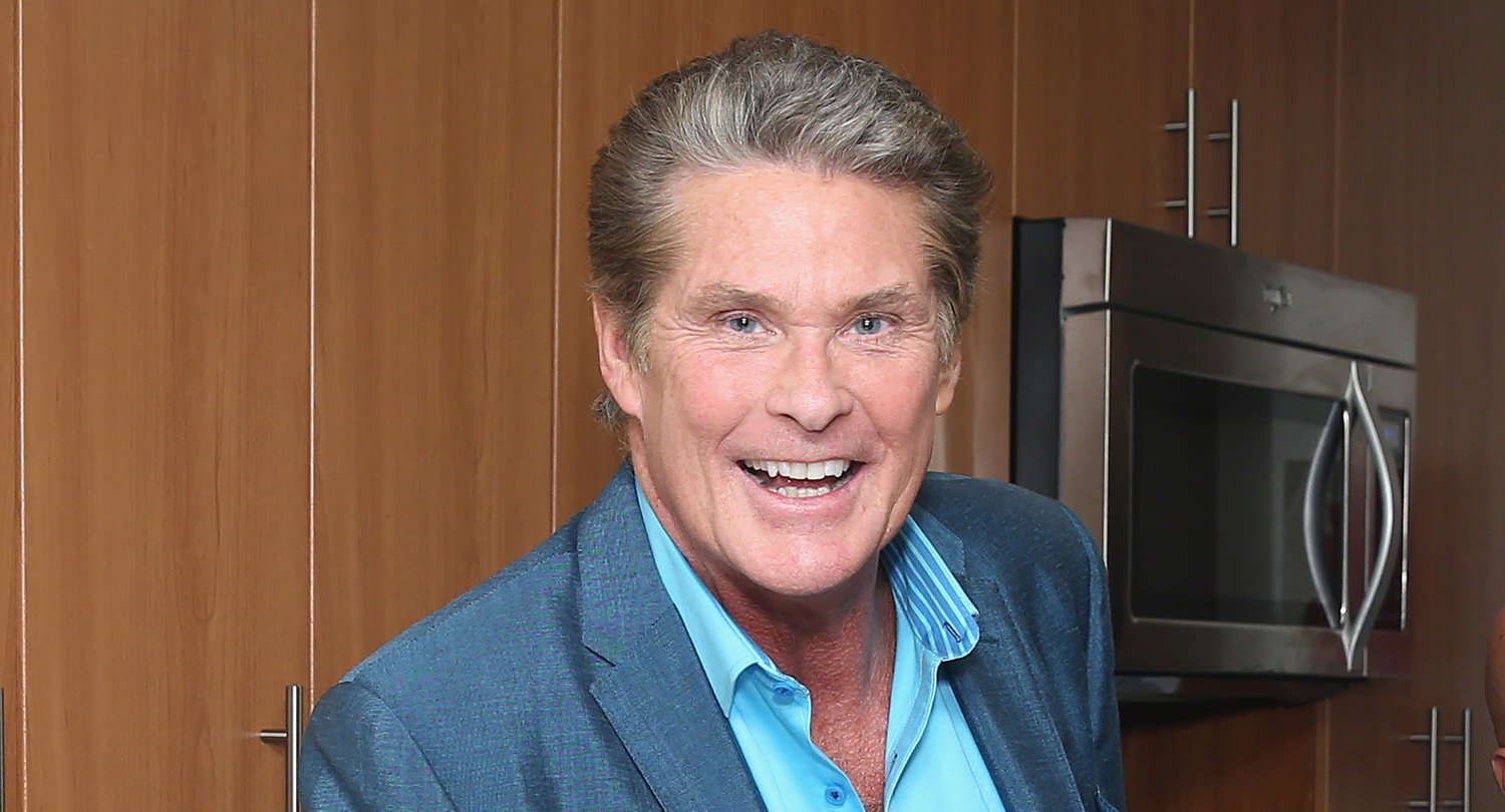 David Hasselhoff Says He’s Broke & Can’t Support His Ex-Wife | David ...