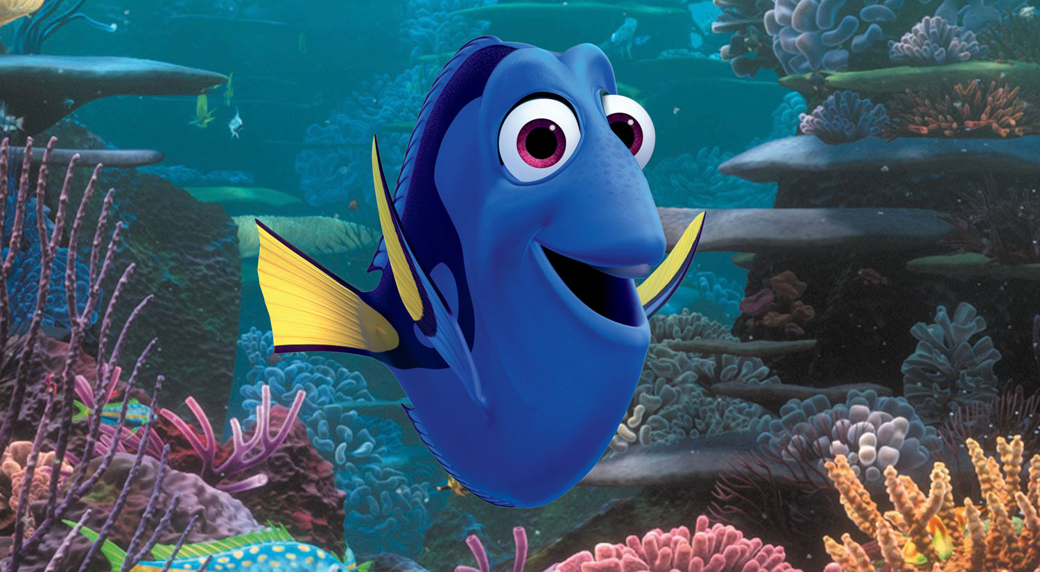 What Kind of Fish is Dory? Blue Tangs Should Not Be Bought | Ellen ...