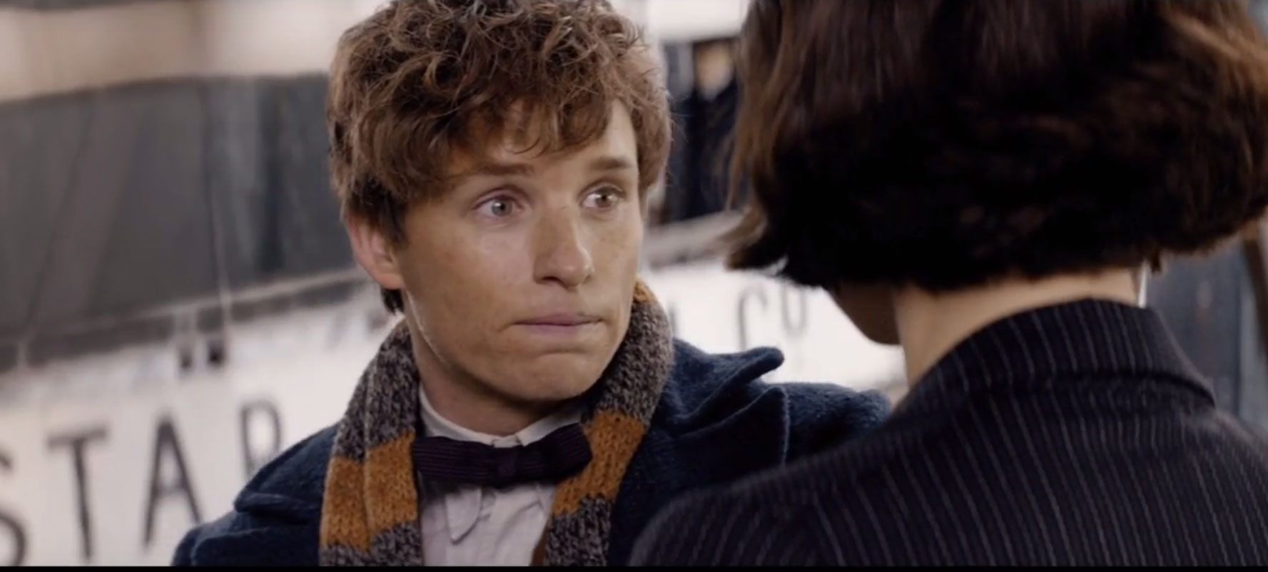 Get to Know Newt Scamander in This New ‘Fantastic Beasts & Where to ...