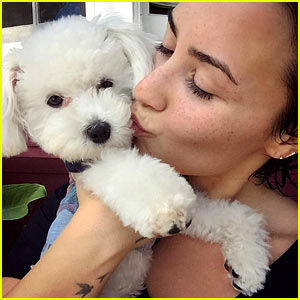 Demi Lovato Pays Tribute to Her Dog One Year After His Death ...