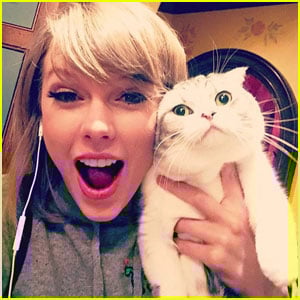 Taylor Swift Posts First Video on Instagram Stories! | Taylor Swift ...