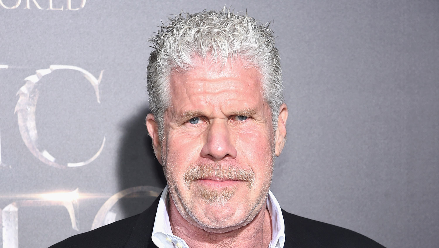 Ron Perlman Announces He Will Run for President in 2020 | Ann Curry ...