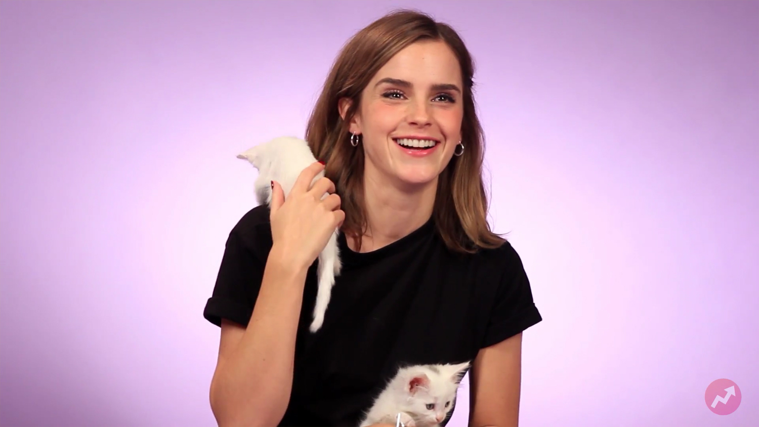 Watch Emma Watson Be Mesmerized By Adorable Kittens | Emma Watson ...
