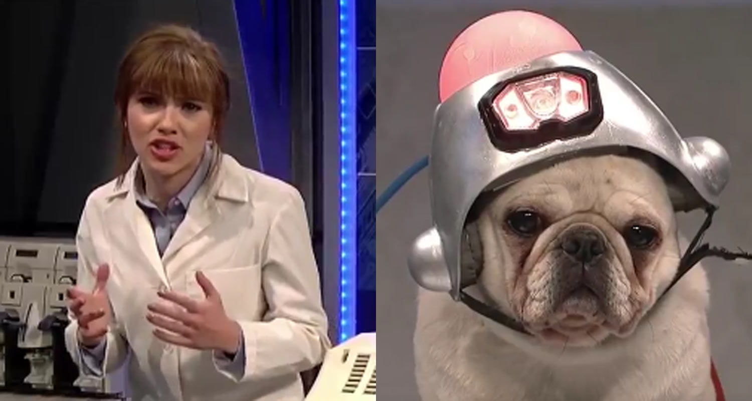 ‘SNL’: Scarlett Johansson Finds Out Her Talking Dog is a Trump ...