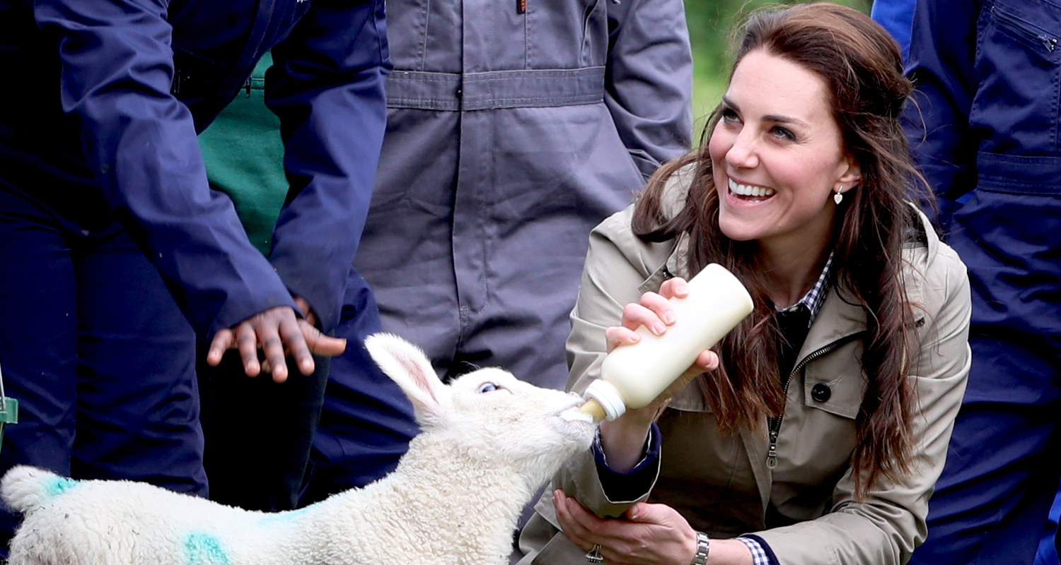Kate Middleton Takes a Trip to a Children’s Farm & Feeds a Lamb! | Kate ...