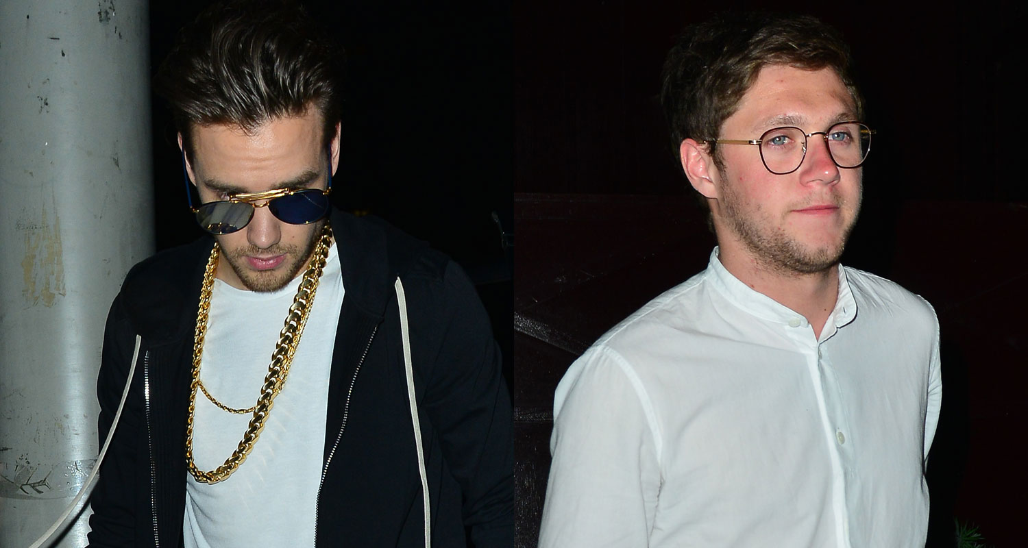 Liam Payne & Niall Horan Reunite at Peppermint Club Party | Liam Payne ...