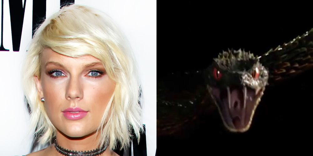 Taylor Swift’s Snake Is Revealed in Latest Cryptic Instagram! | Taylor ...