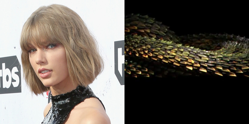 Taylor Swift Shares Another Cryptic Video Revealing More of That Snake ...