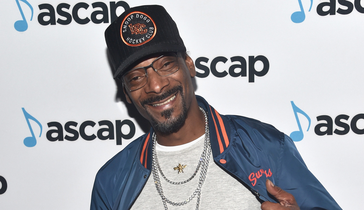 Dwayne Johnson, Ellen DeGeneres, & More Celebs Send Snoop Dogg 46th ...